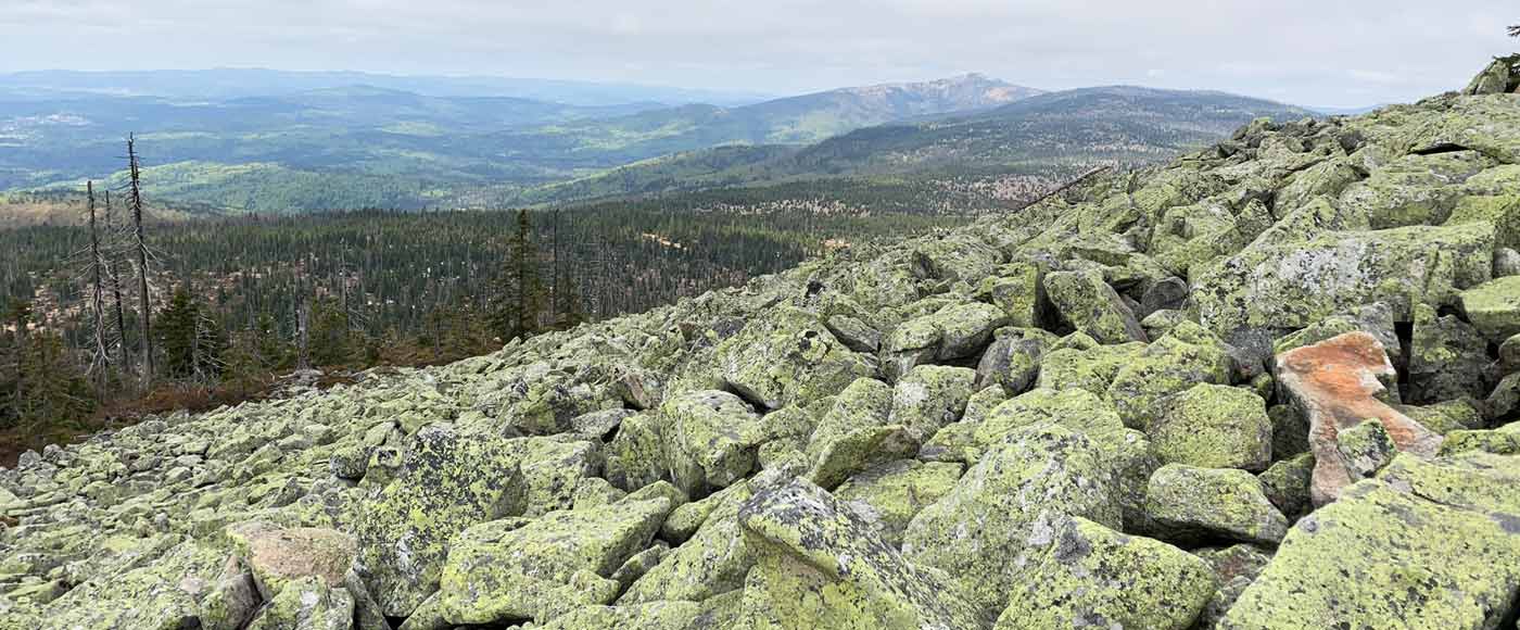 Himmelsleiter zum Lusen: Magische Wanderung im Bayerwald